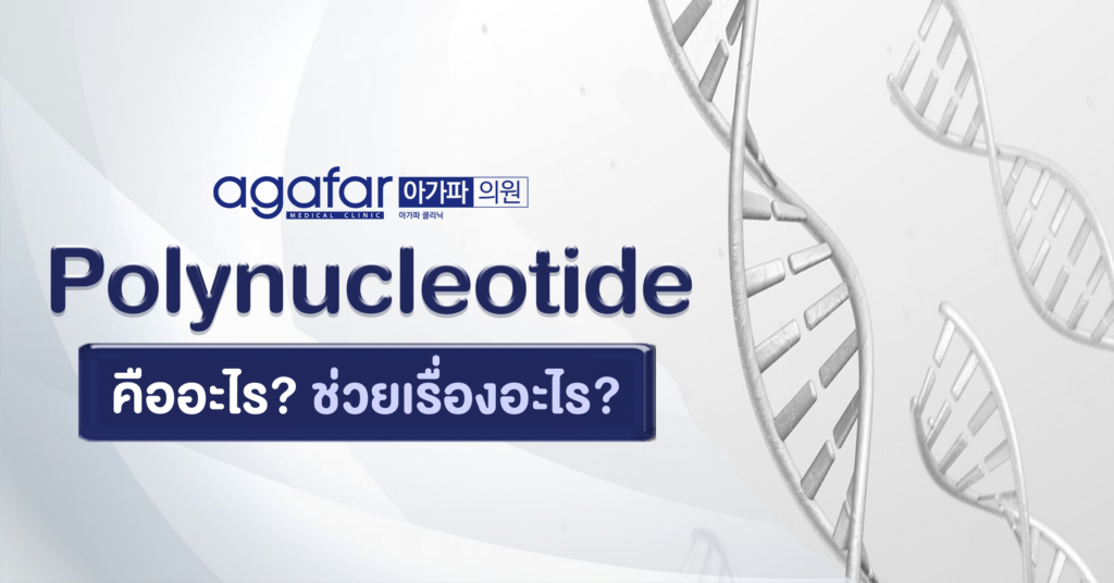 Polynucleotide (โพลินิวคลีโอไทด์) คืออะไร? - Agafar Thailand